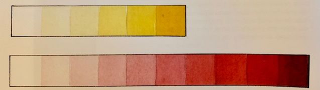 Creating Form and Space in a Painting. – Lee Muir-Haman Watercolor Painting