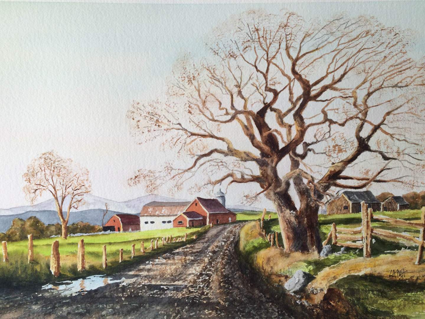 Paint Your Shadows Bold… And Transparent ! – Lee Muir-Haman Watercolor ...