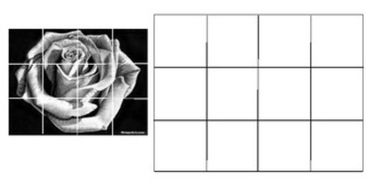 Use The Low-Tech Grid Method To Transfer Your Image. – Lee Muir-Haman ...